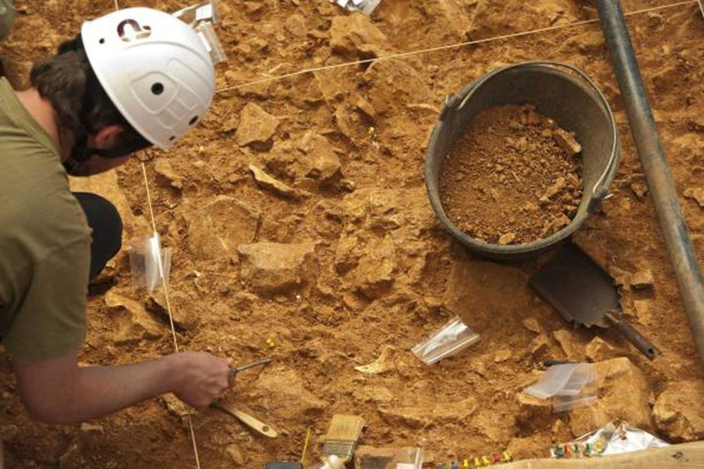 The study of protein material from a tooth of Homo antecessor from ...